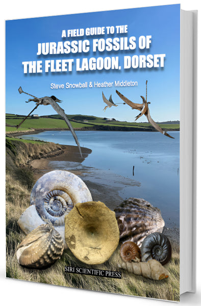 A Field Guide to the Jurassic Fossils of the Fleet Lagoon, Dorset ...