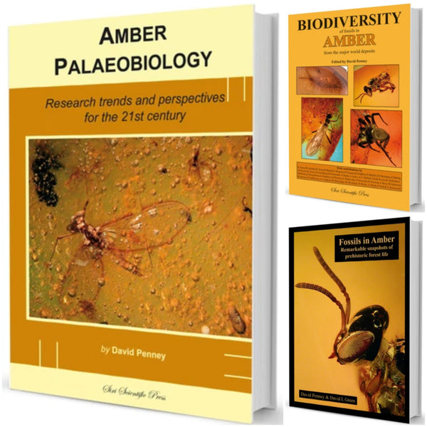 Fossils in Amber Bundle – Siri Scientific Press